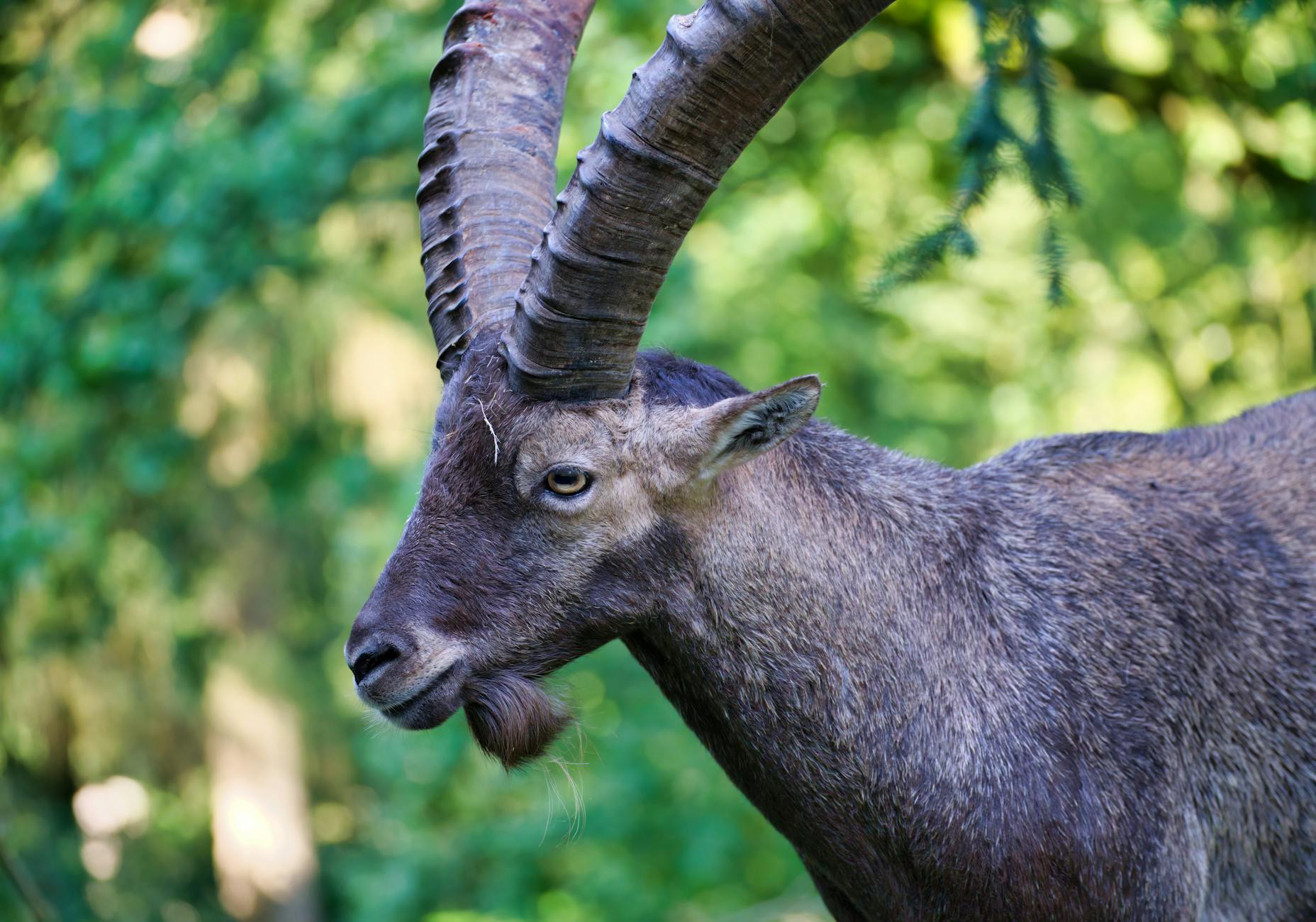 to the late jane bowers stoneman on her 90th birthday | One with Clay ...